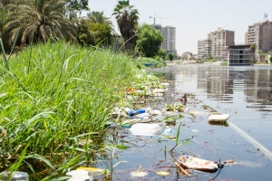 Cairo’s unexpected success story to clean the Nile | The Urban Activist
