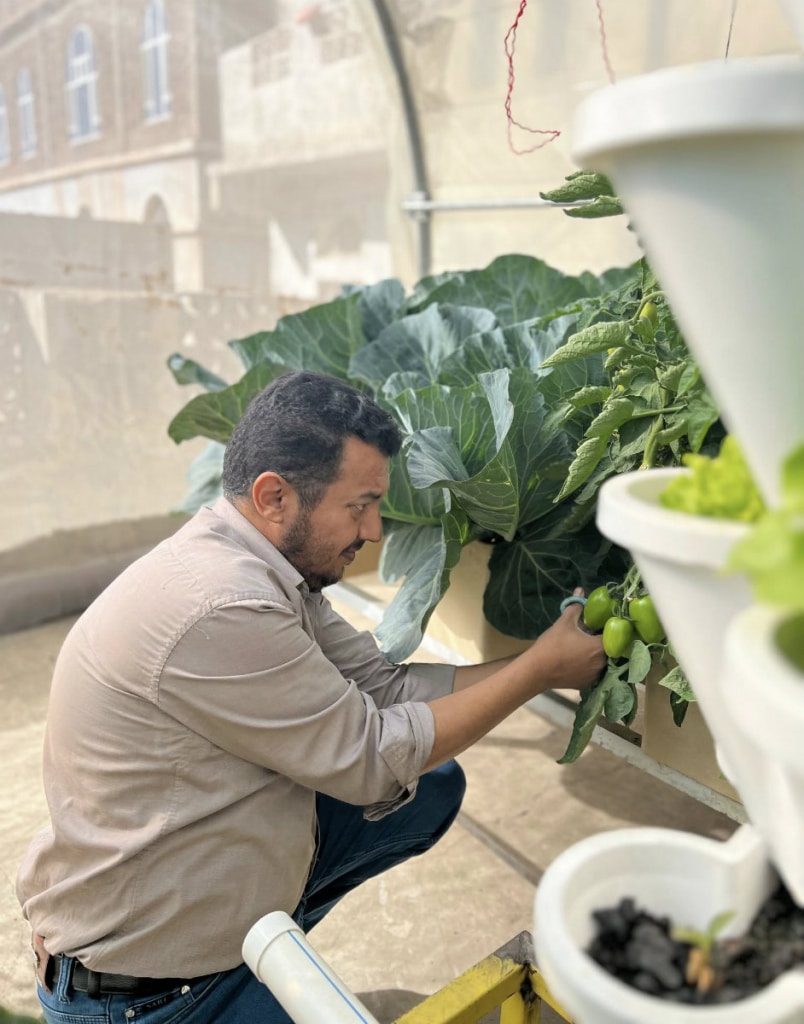 Inside Yemen’s Urban Farming Revolution | The Urban Activist
